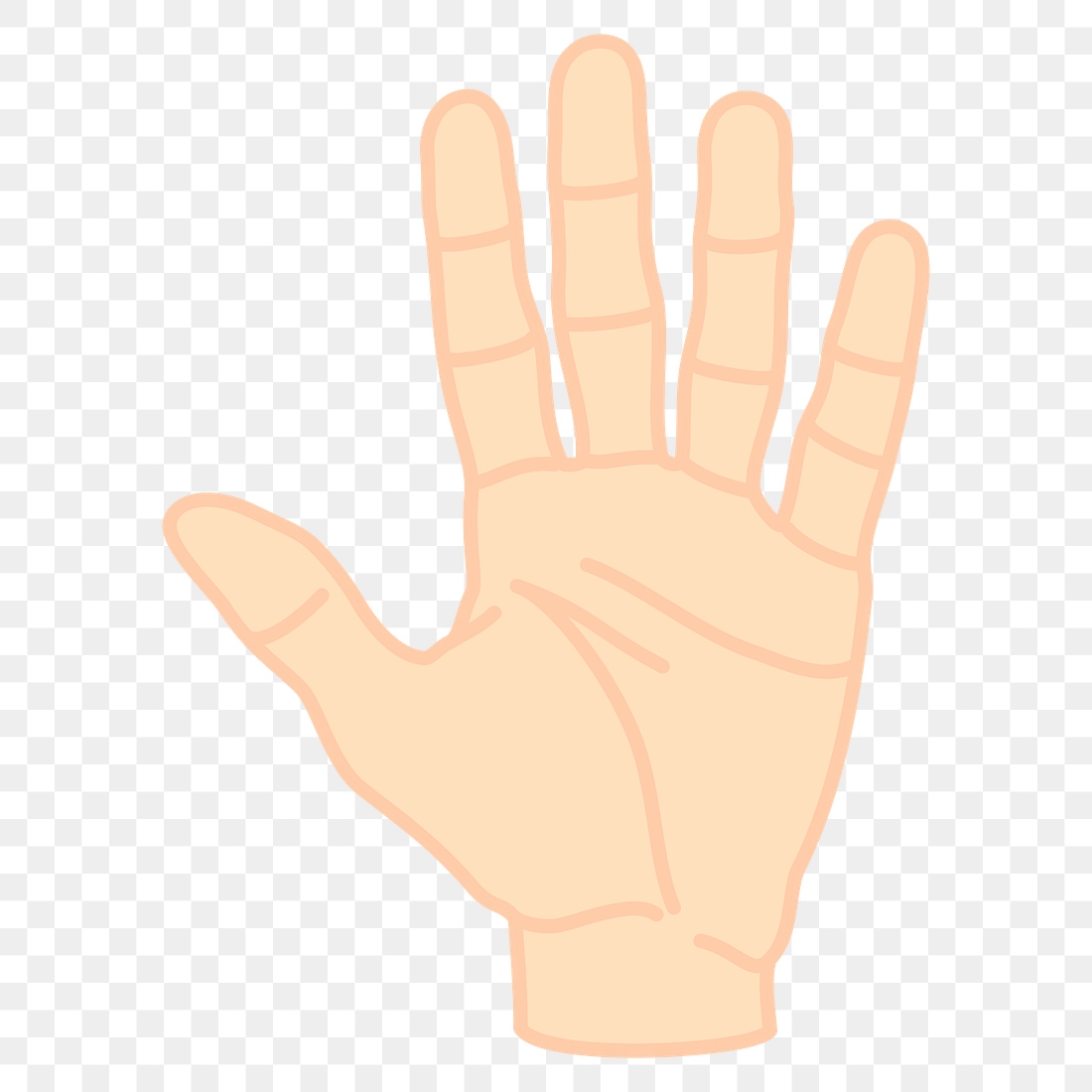 PNG Palm hand, clipart, transparent | Free PNG - rawpixel