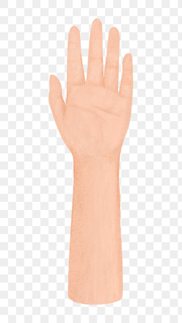 Man hand png, diversity illustration | Premium PNG - rawpixel