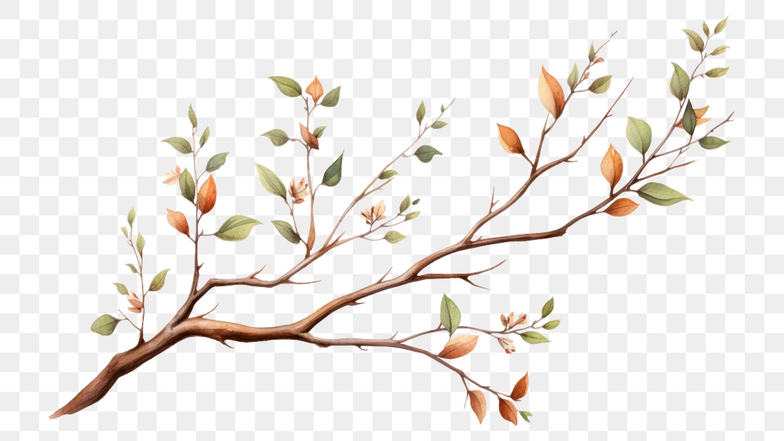 PNG Branch plant tree illustrated | Premium PNG - rawpixel