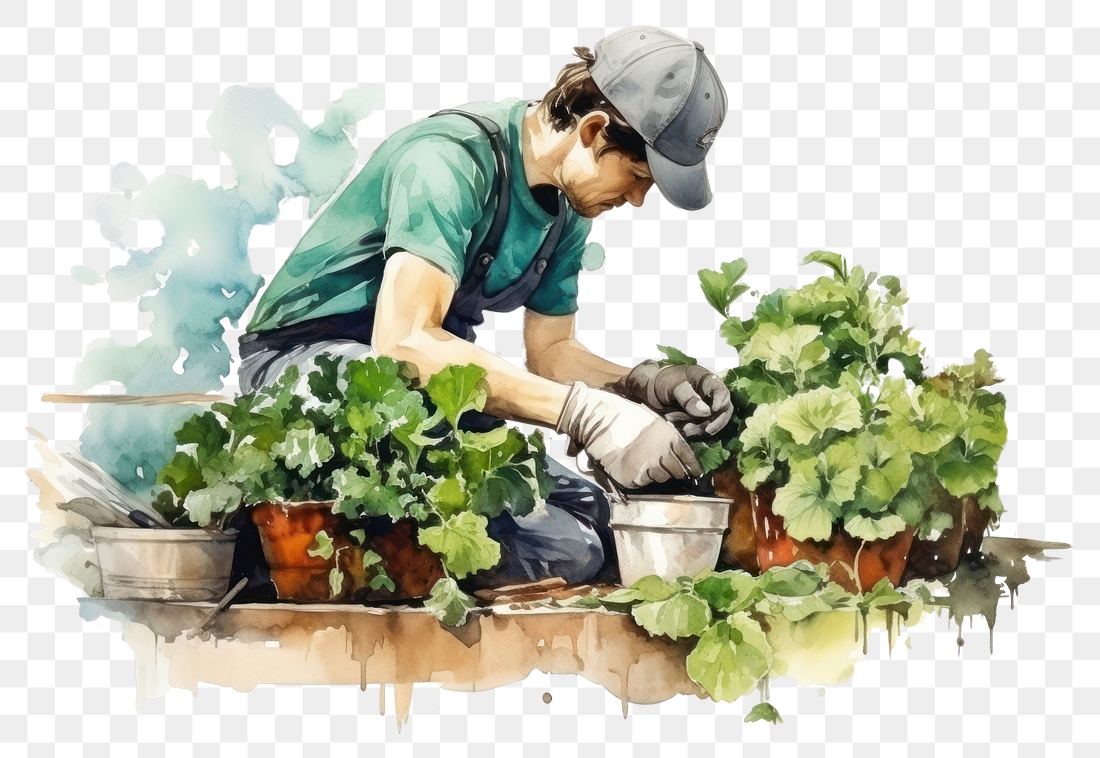PNG Gardening outdoors adult plant | Premium PNG - rawpixel