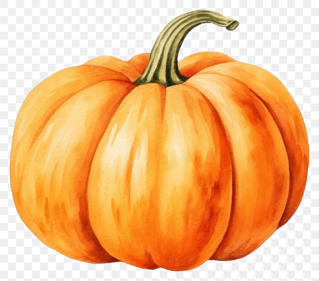 PNG Pumpkin vegetable squash autumn | Free PNG - rawpixel