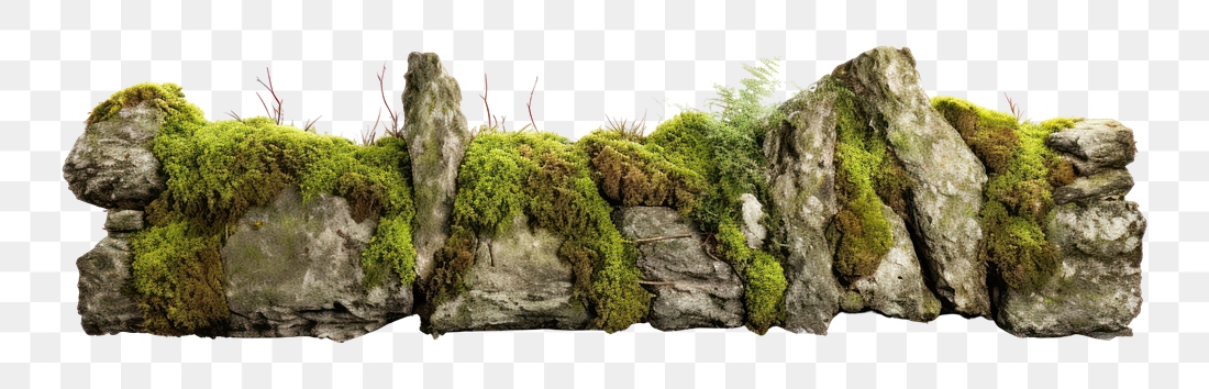 PNG Moss wall outdoors nature | Premium PNG - rawpixel