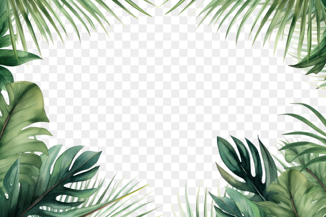PNG Backgrounds outdoors nature plant | Free PNG - rawpixel