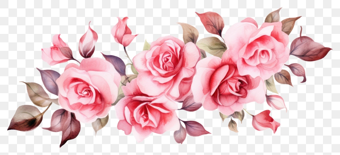 PNG Rose pattern flower plant. | Premium PNG - rawpixel