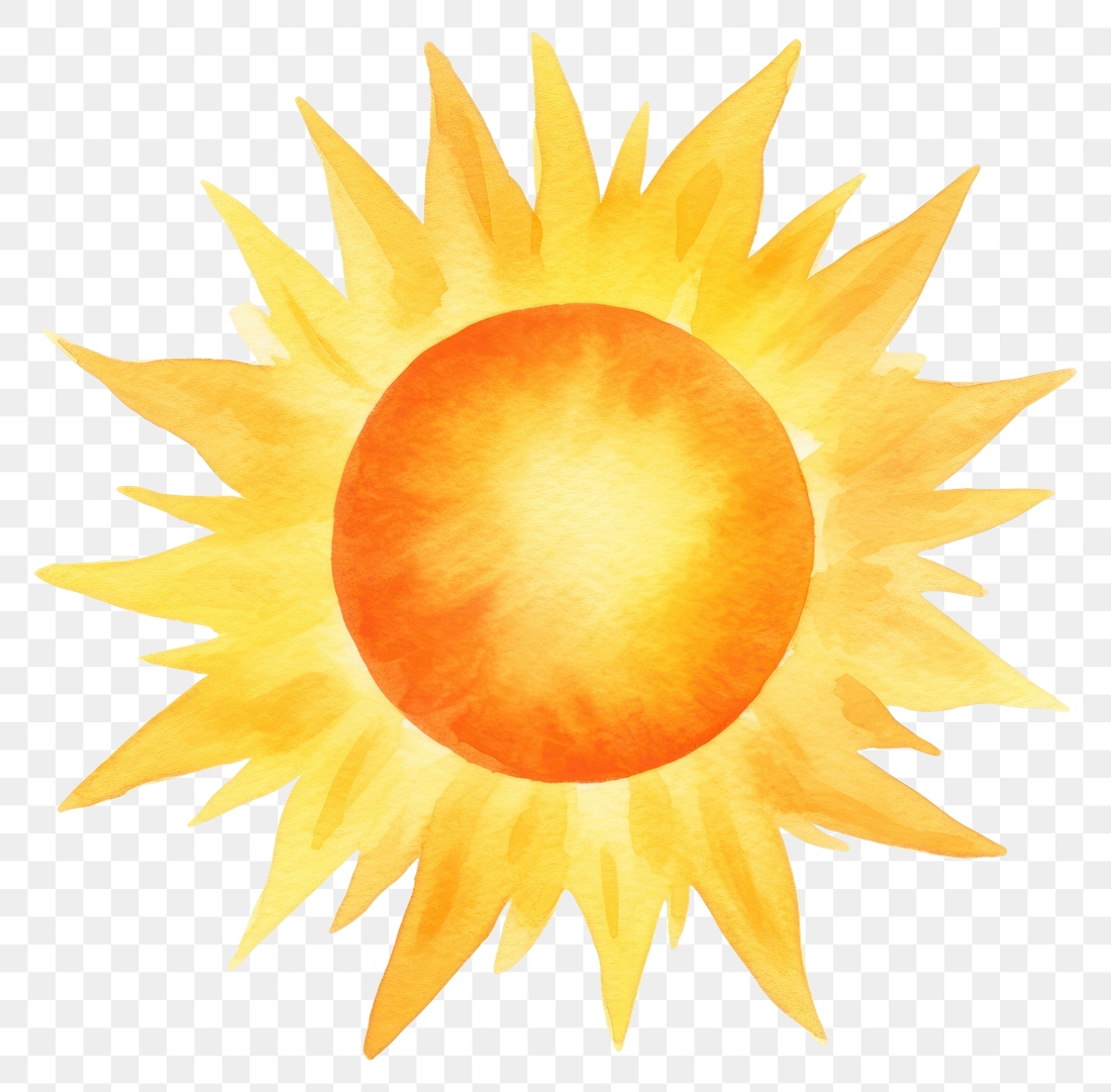 PNG Sun sunflower sunlight outdoors | Free PNG - rawpixel