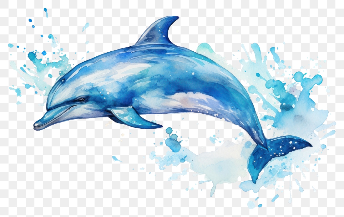 PNG Dolphin animal mammal fish. | Premium PNG - rawpixel