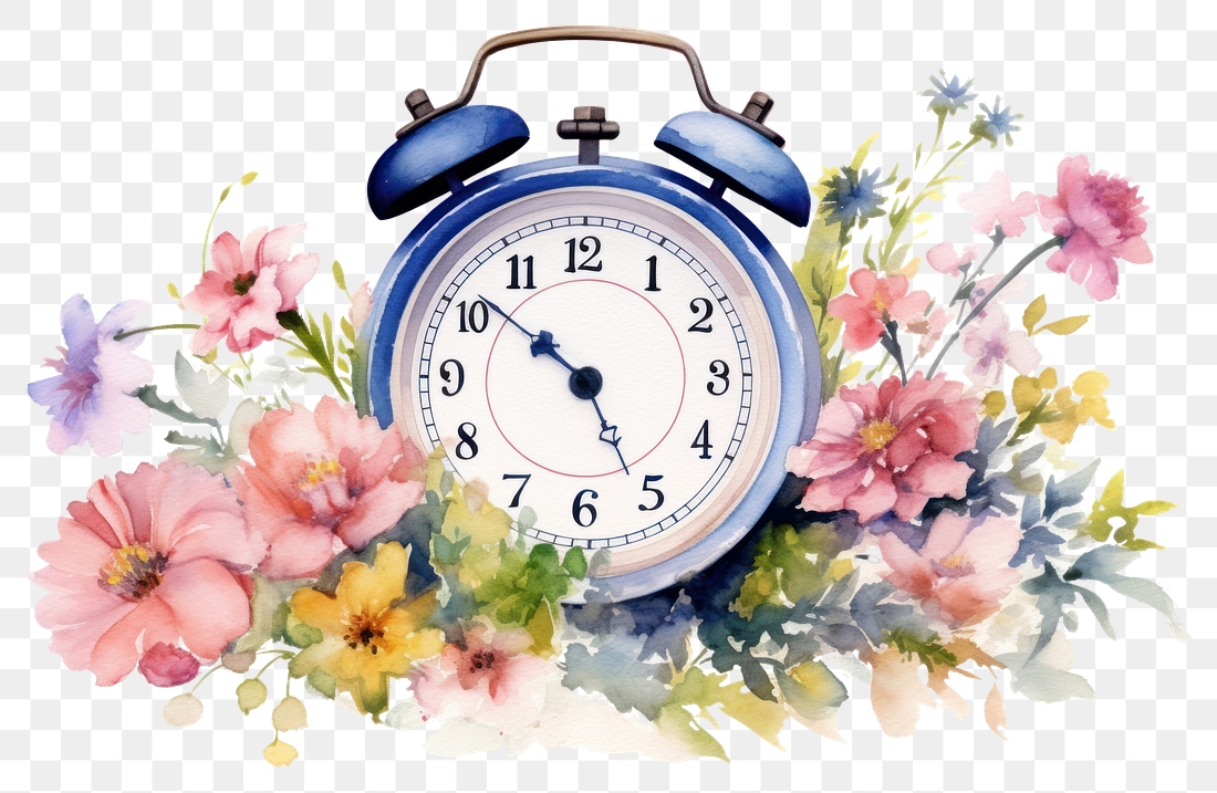 PNG Flower clock plant inflorescence. | Premium PNG - rawpixel