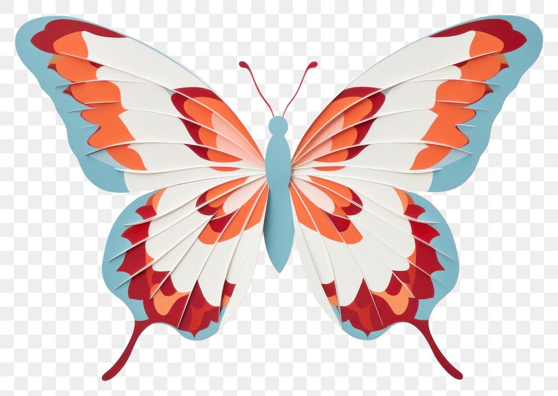 PNG Butterfly animal insect paper. | Premium PNG - rawpixel