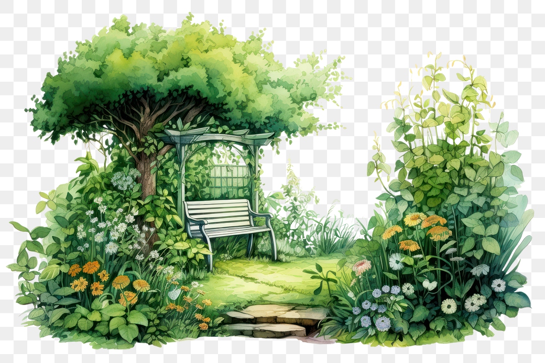 Outdoors backyard garden nature. | Premium PNG - rawpixel