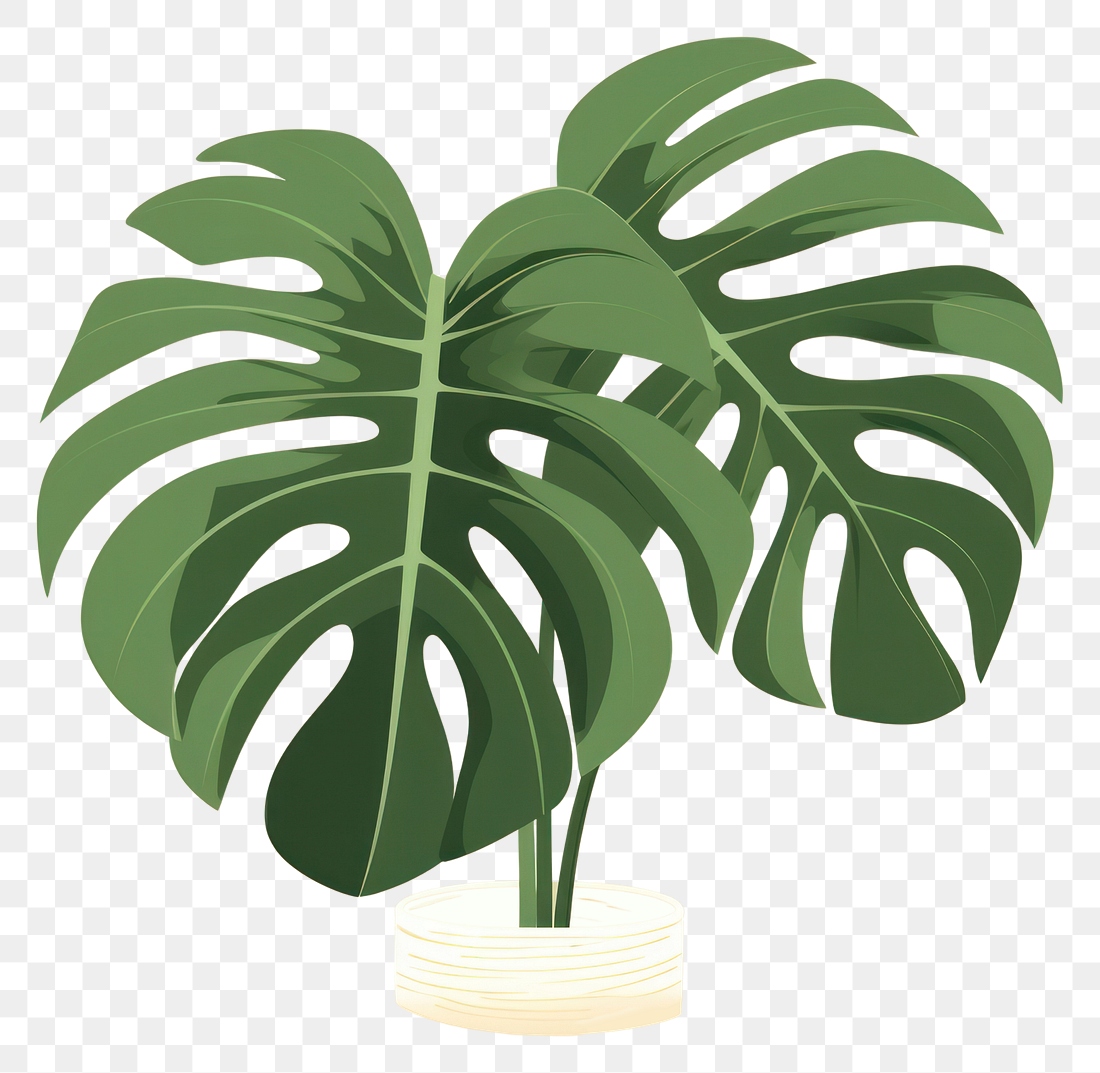PNG Plant leaf houseplant flowerpot | Free PNG - rawpixel