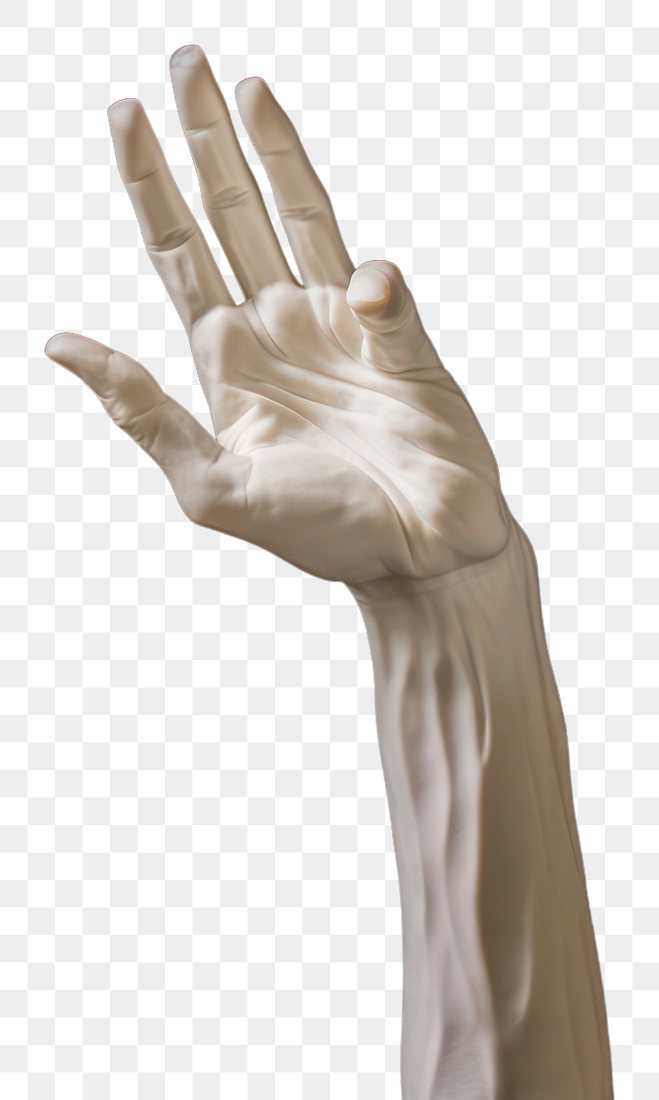 PNG Hand finger human gesturing | Premium PNG - rawpixel