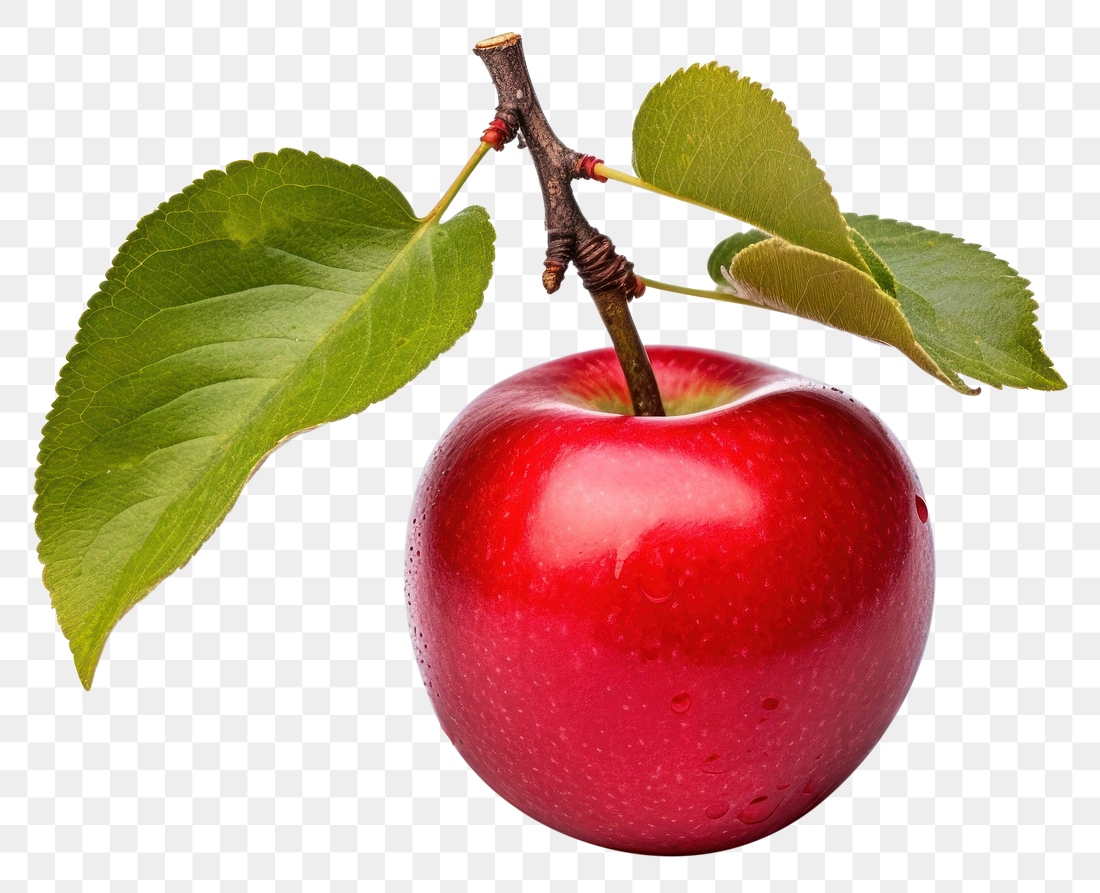 PNG Apple fruit plant food. | Premium PNG - rawpixel