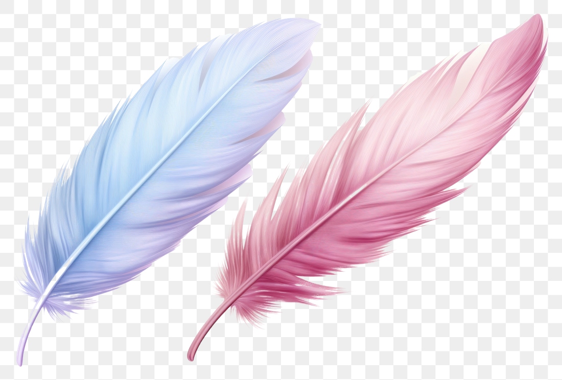 PNG Feather bird lightweight transparent | Premium PNG - rawpixel