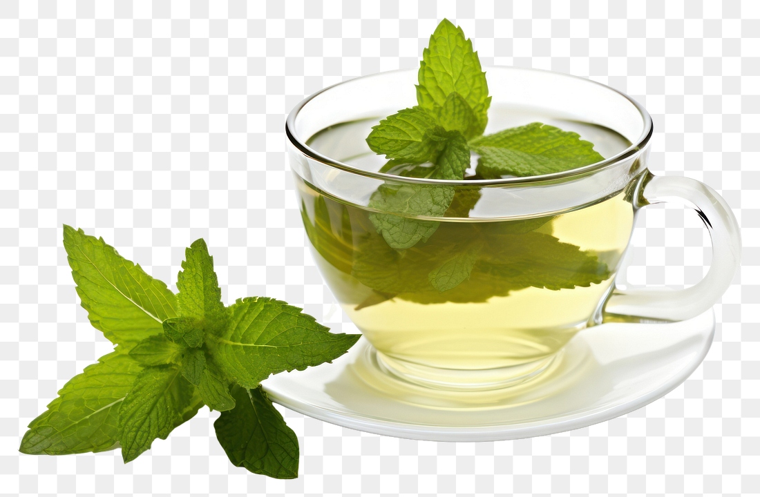 PNG Peppermint tea drink plant | Premium PNG - rawpixel