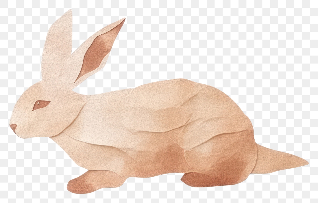 PNG Animal rodent mammal rabbit. | Premium PNG - rawpixel