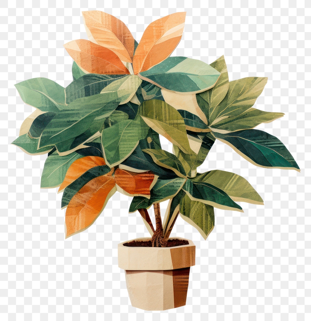PNG Plant leaf houseplant floristry | Free PNG - rawpixel