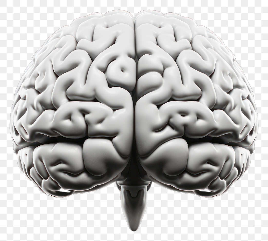 PNG Chandelier brain lamp art. | Premium PNG - rawpixel