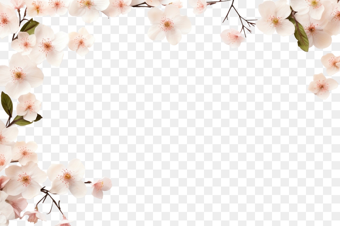 PNG Flower backgrounds blossom plant. | Premium PNG - rawpixel
