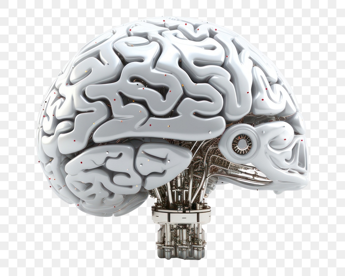 PNG Brain transportation accessories. | Premium PNG - rawpixel