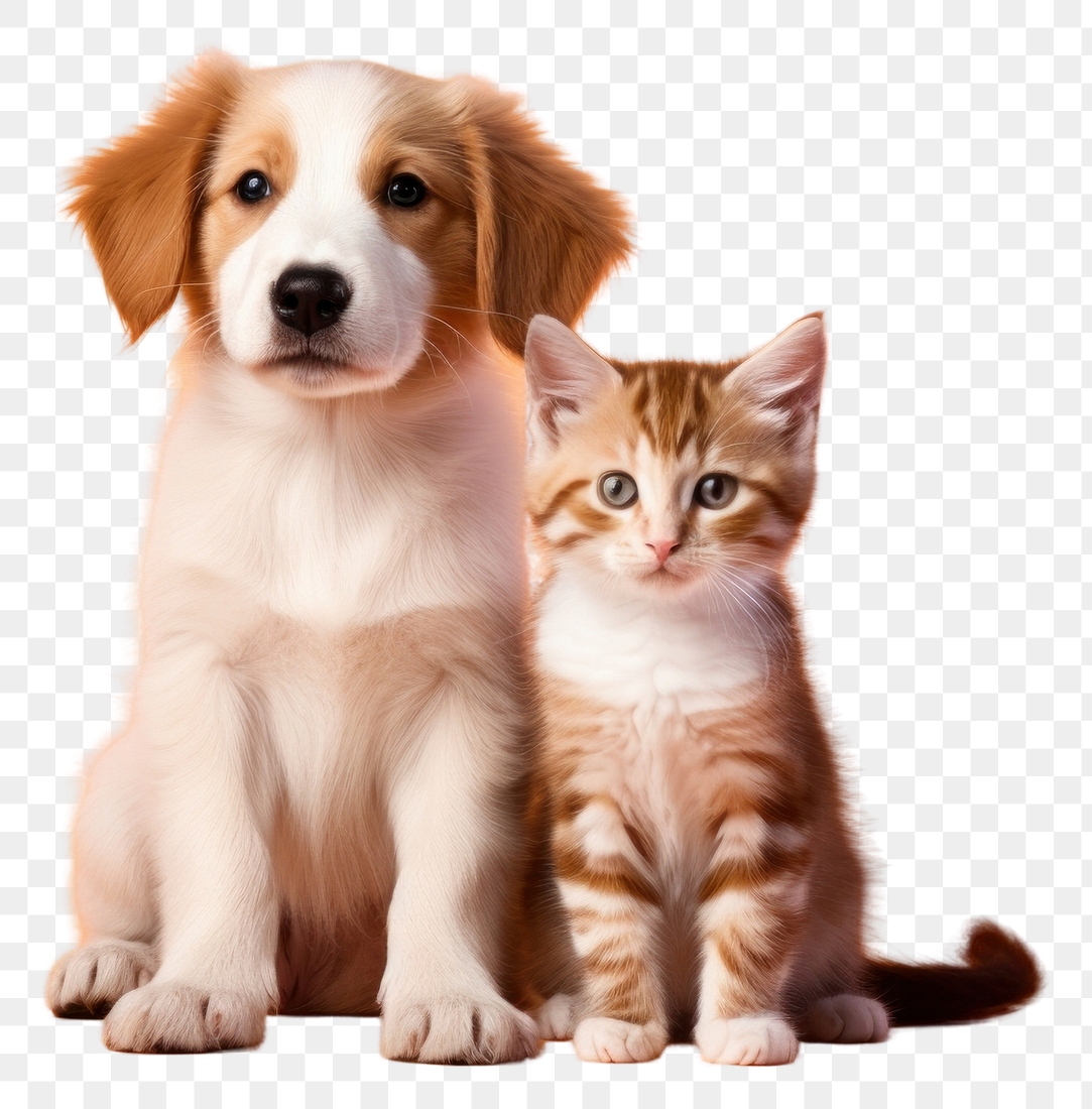 PNG Mammal animal puppy pet | Premium PNG - rawpixel