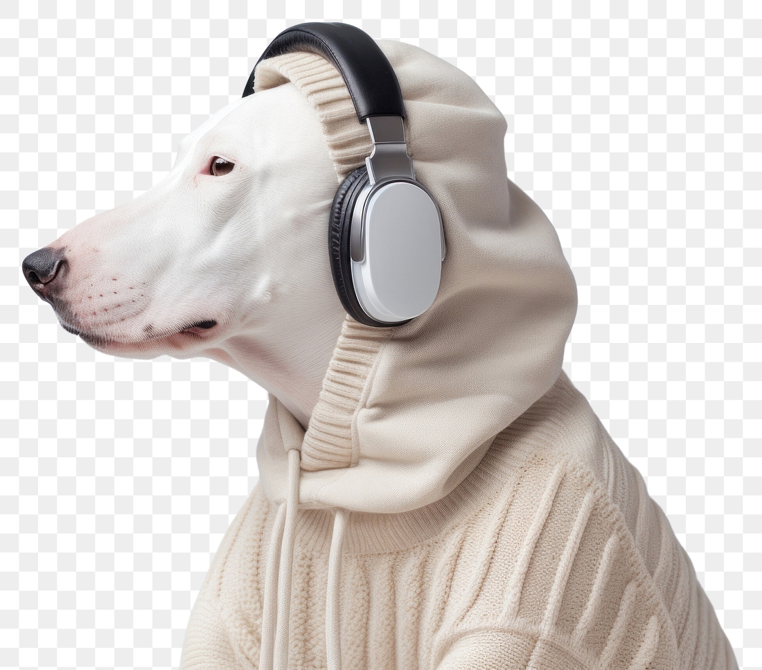 PNG Headphones dog headset mammal. | Premium PNG - rawpixel
