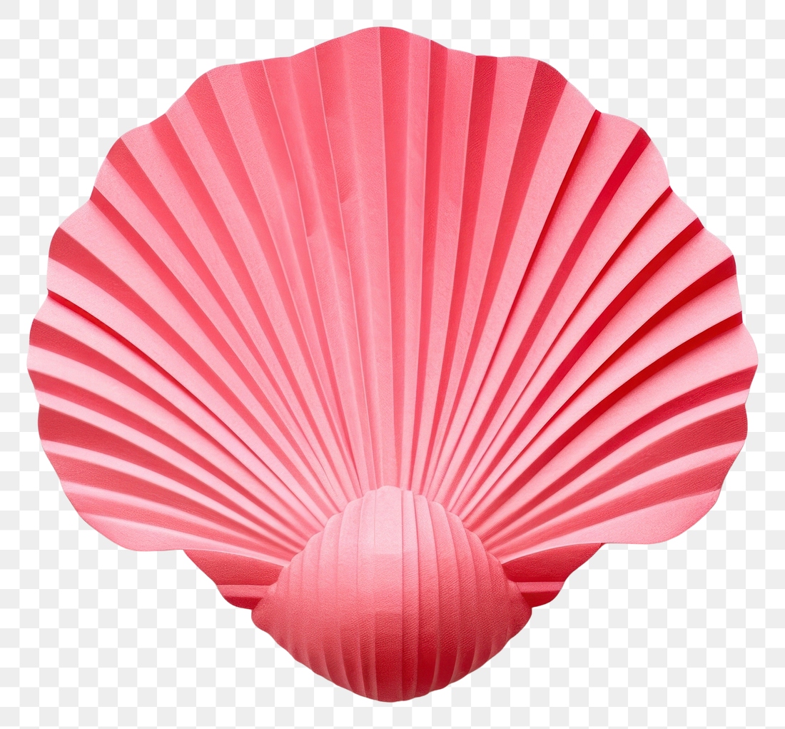 PNG Shell paper clam white | Premium PNG - rawpixel