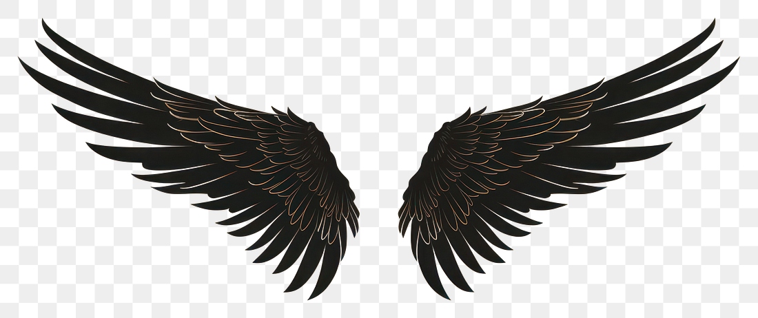 PNG Vulture bird pattern condor. | Premium PNG - rawpixel