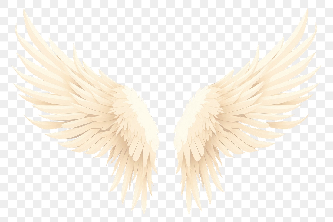 PNG Angel bird archangel feather. | Free PNG - rawpixel