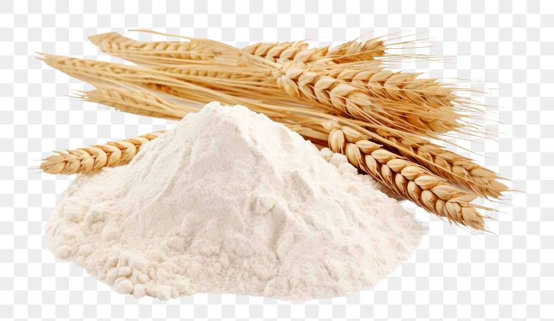 PNG Wheat food ingredient triticale. | Premium PNG - rawpixel