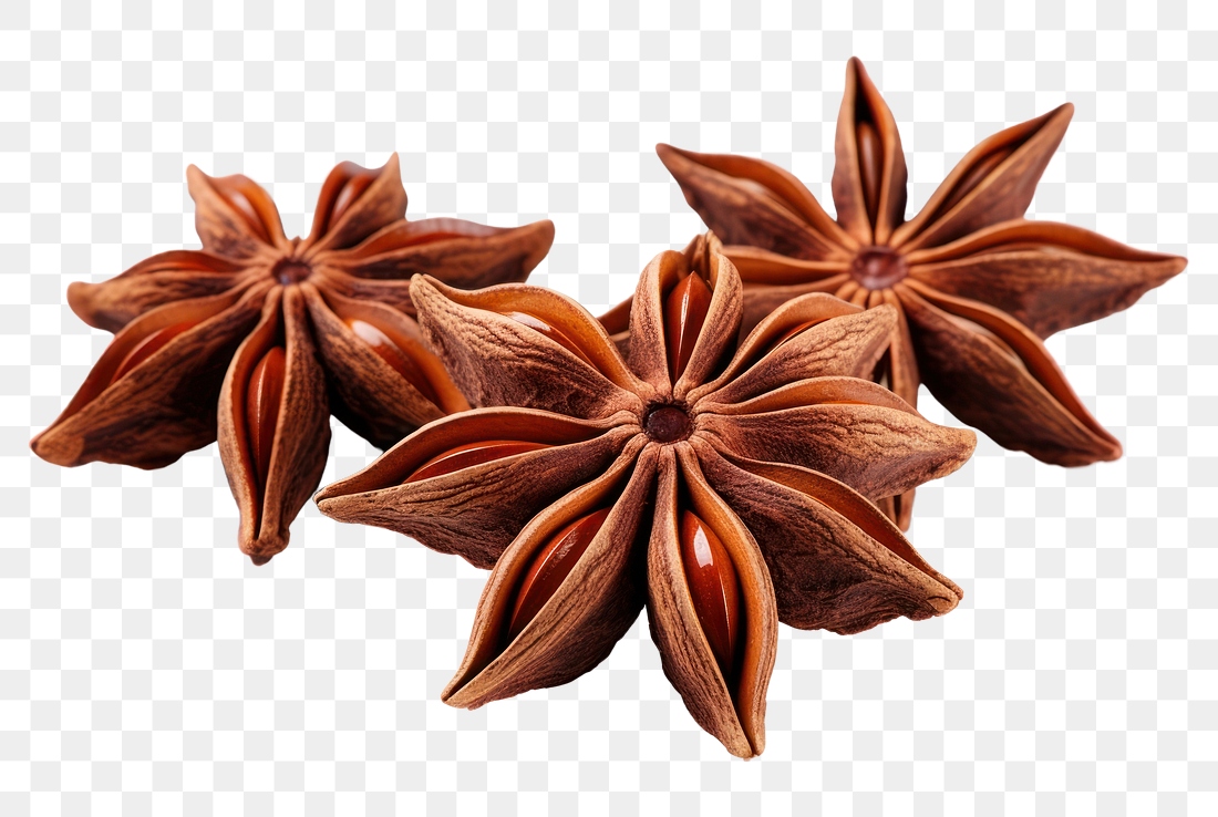 PNG Three star anise spice | Premium PNG - rawpixel