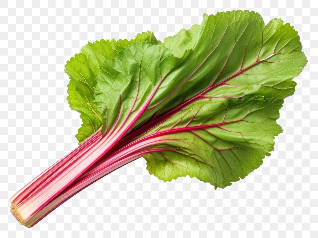 PNG Vegetable rhubarb plant food. | Free PNG - rawpixel