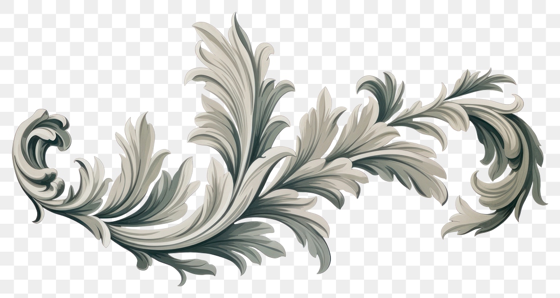 PNG Acanthus leaves pattern drawing | Premium PNG - rawpixel