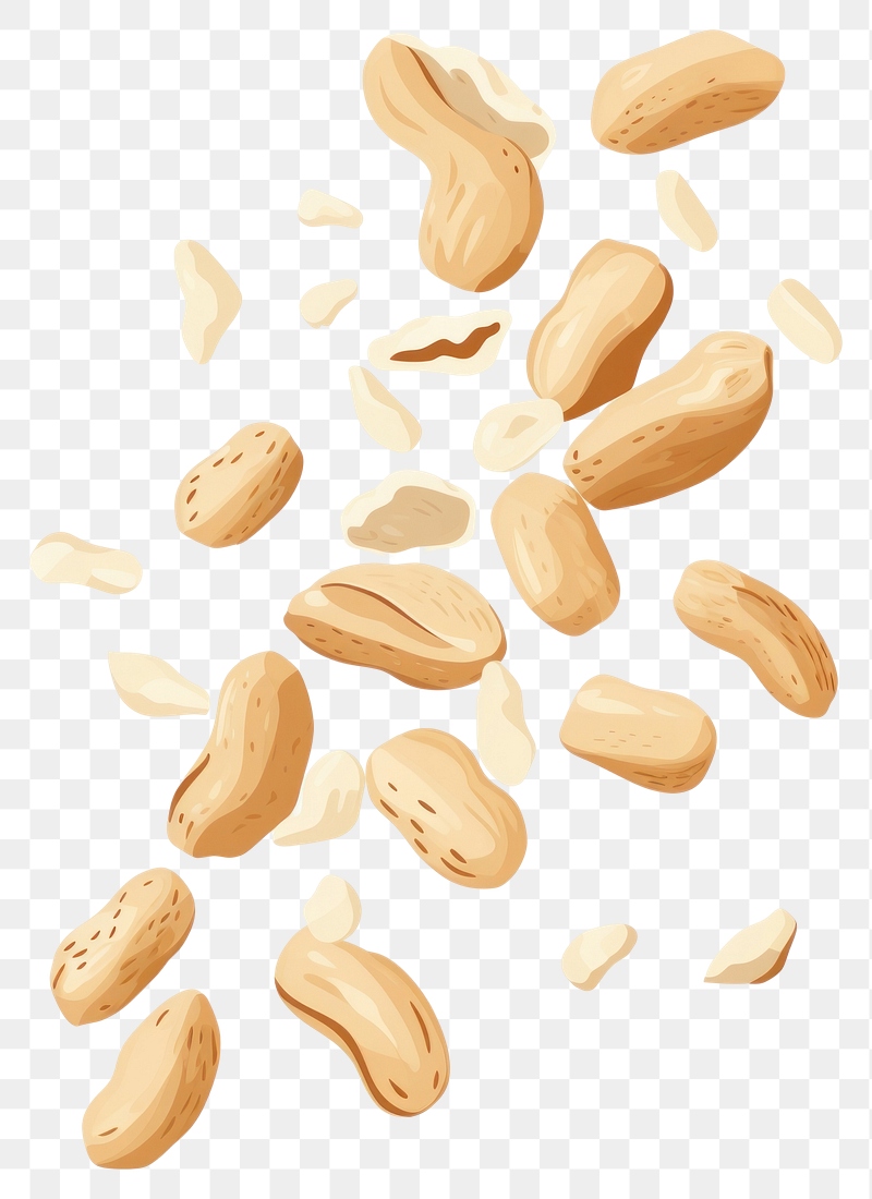 PNG Falling peanut seeds food | Premium PNG - rawpixel
