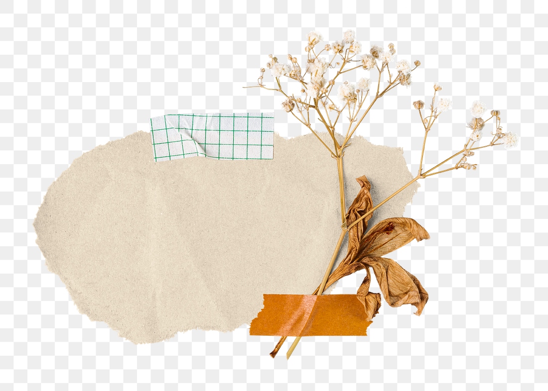 Autumn Paper Collage Png Sticker | Premium Png - Rawpixel