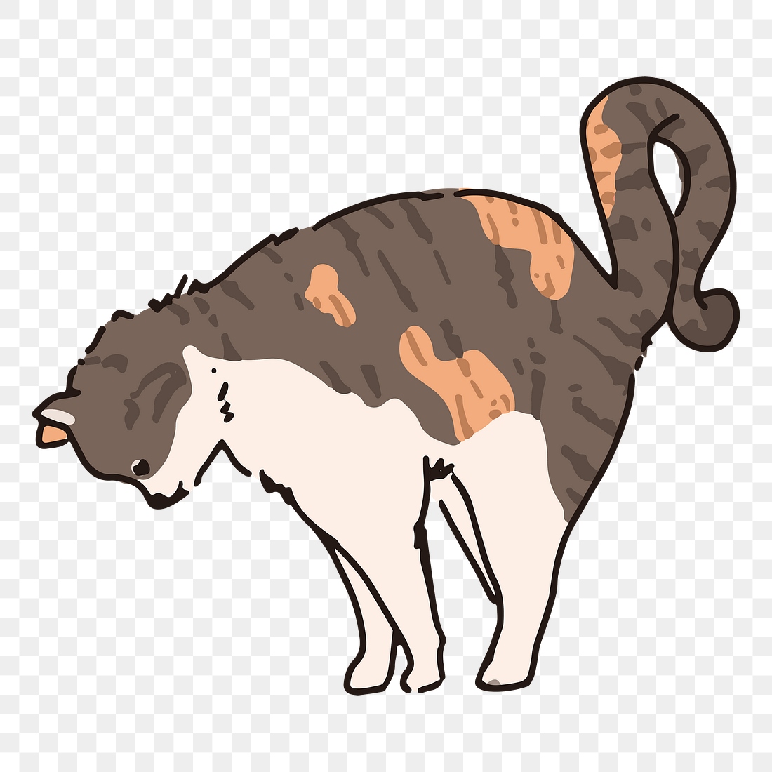 Png cat stretching doodle sticker, | Premium PNG - rawpixel