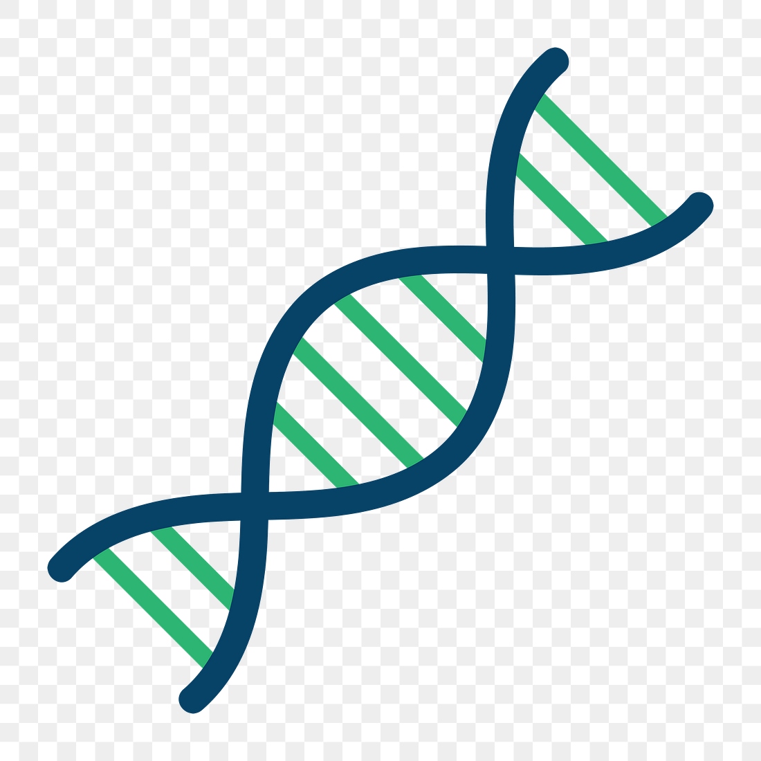 DNA helix icon png, transparent | Premium Icons - rawpixel