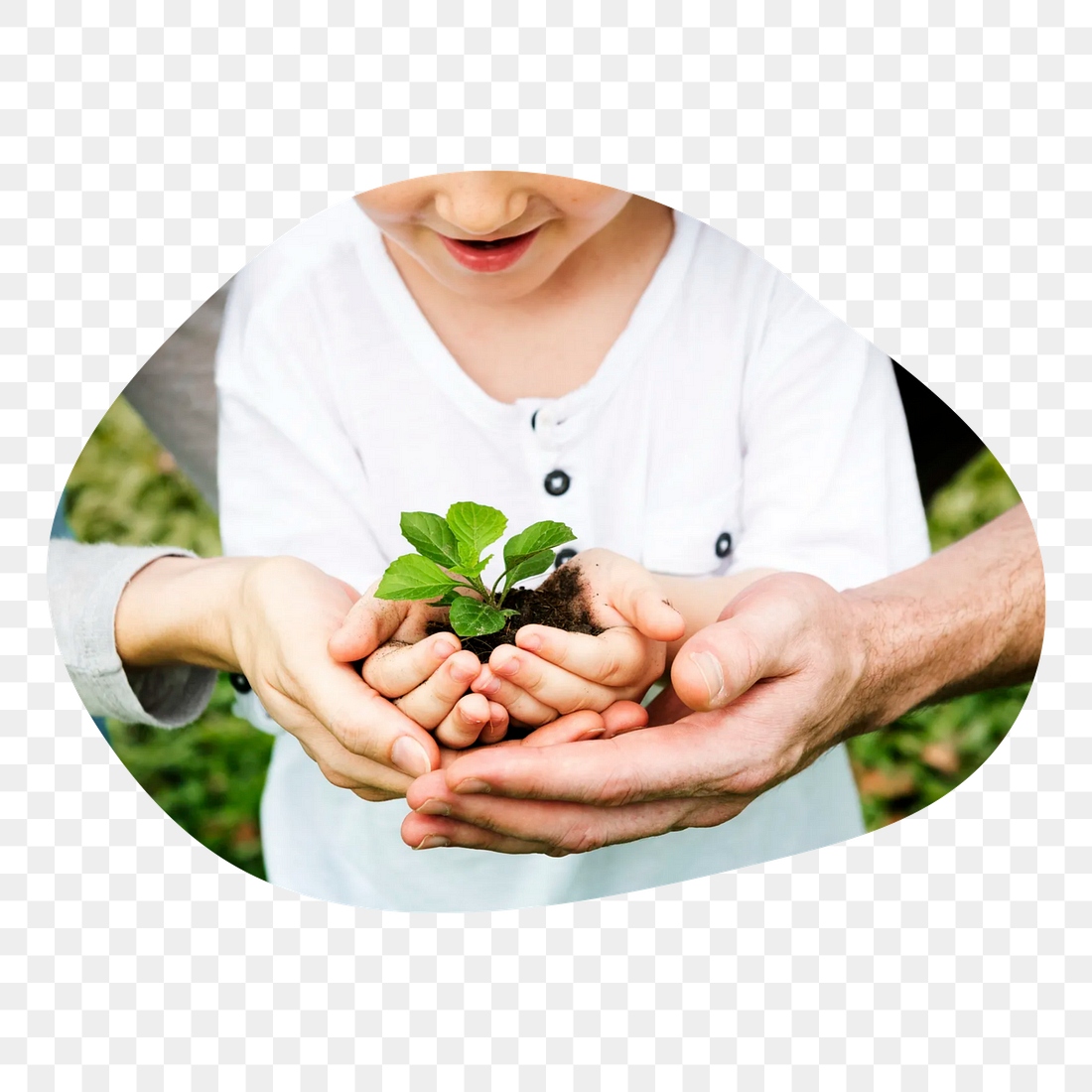 Tree planting png badge element, | Premium PNG - rawpixel