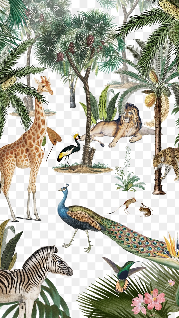 Wild animals png pattern, transparent | Premium PNG - rawpixel