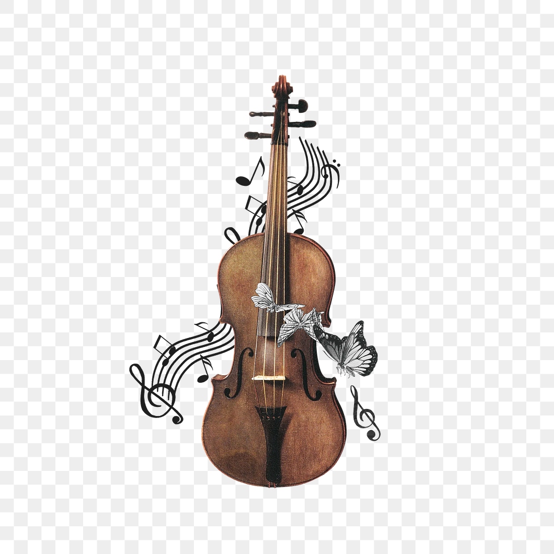 Violin png, musical instrument, transparent | Premium PNG - rawpixel