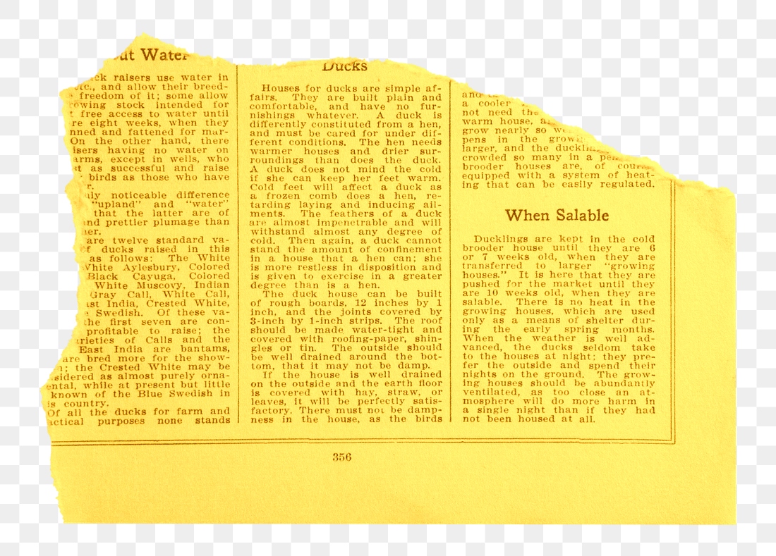 PNG Ripped newspaper piece illustration | Premium PNG - rawpixel