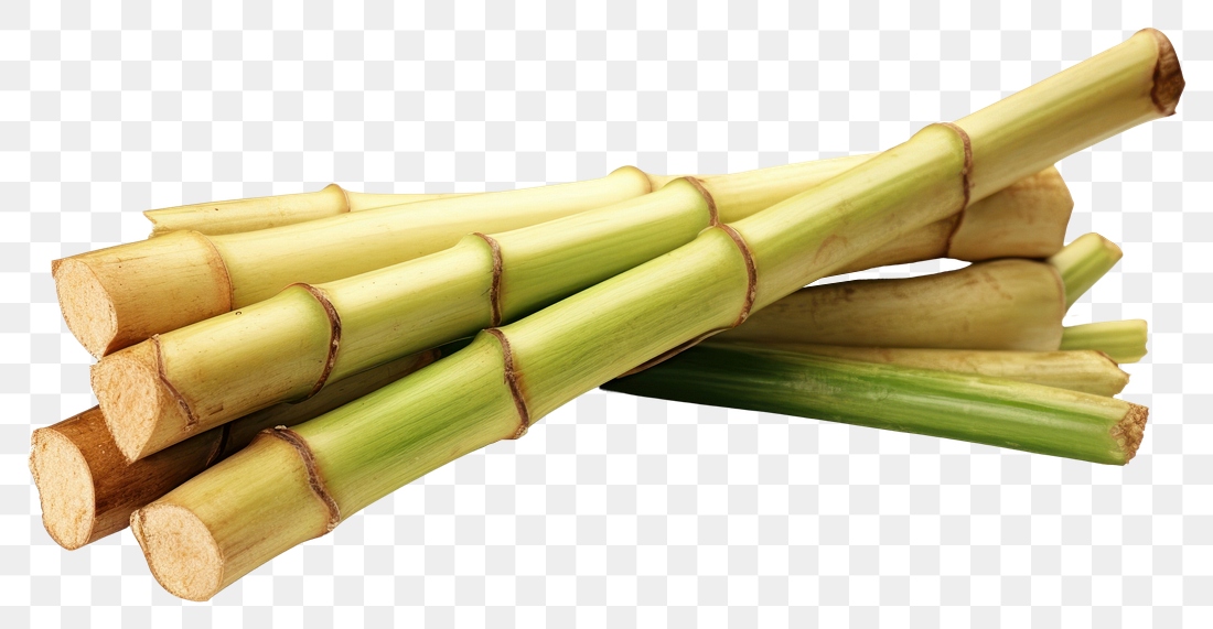 PNG design resource, downloadable, HD, | Premium PNG - rawpixel