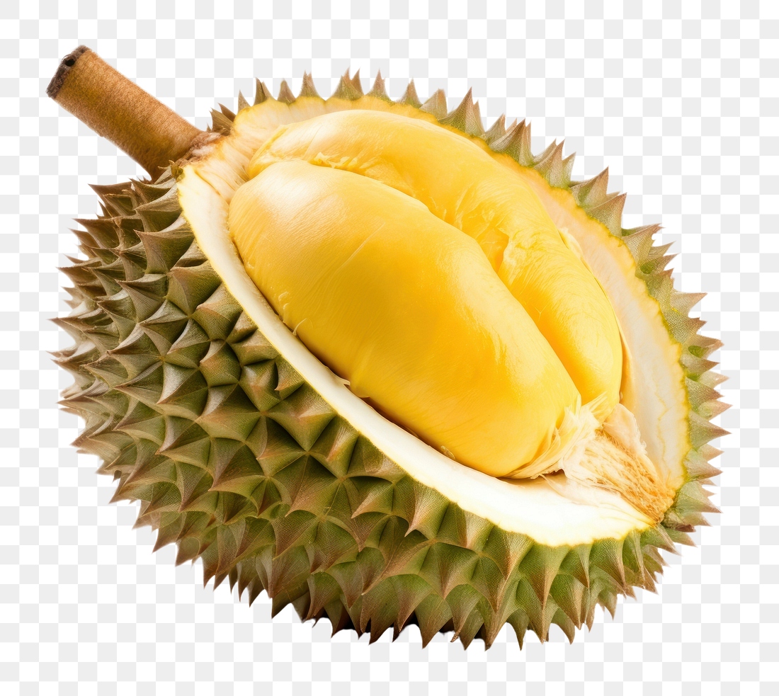 PNG Durian fruit plant food | Free PNG - rawpixel