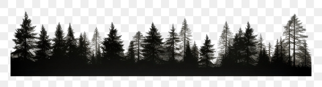 PNG Black shadow pine trees | Premium PNG - rawpixel