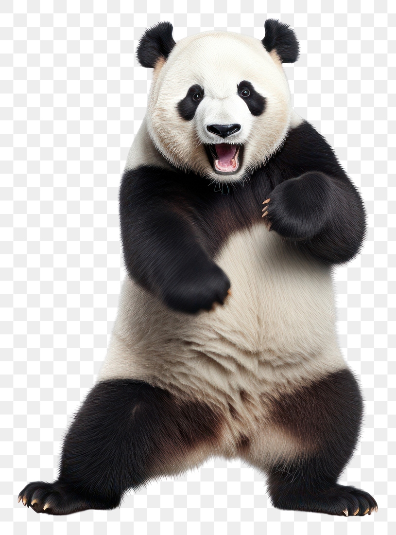 PNG Happy smiling panda dancing | Premium PNG - rawpixel