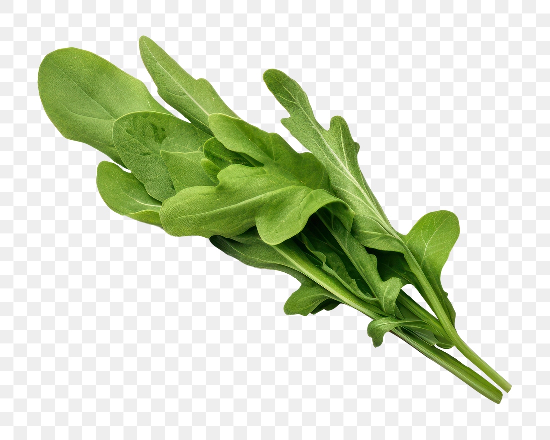 PNG Fresh green arugula leaves | Premium PNG - rawpixel