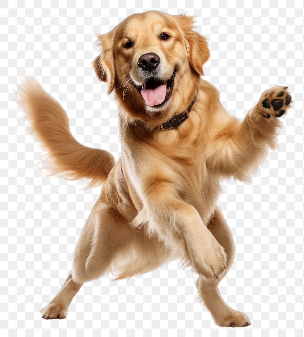 PNG Happy smiling dancing golden | Free PNG - rawpixel