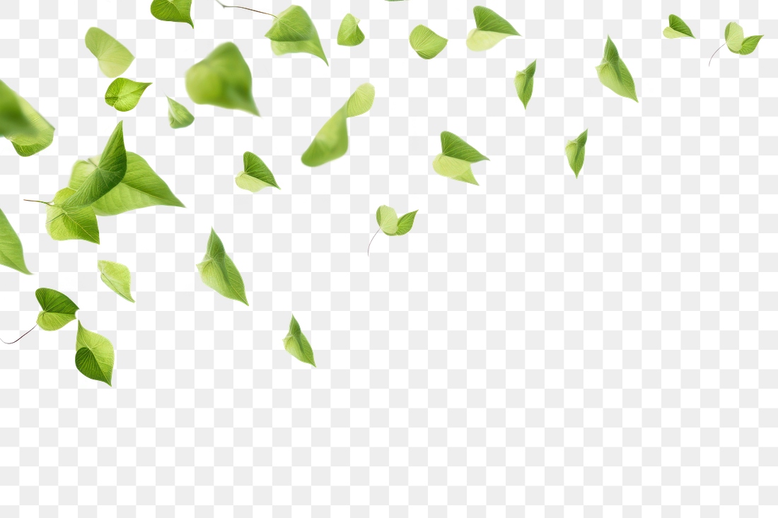 PNG Falling green leaf effect, | Premium PNG - rawpixel