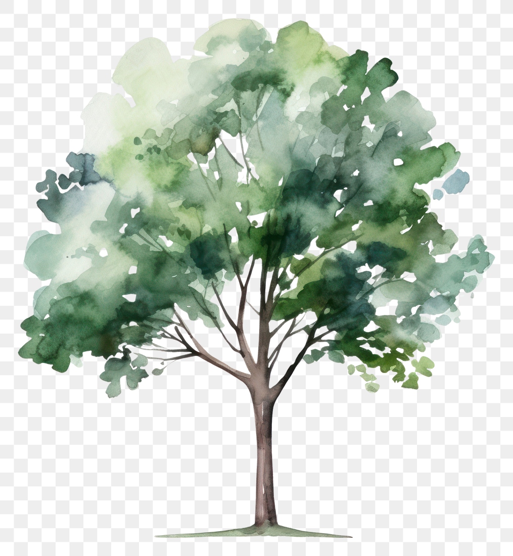 PNG Tree plant white background | Free PNG - rawpixel