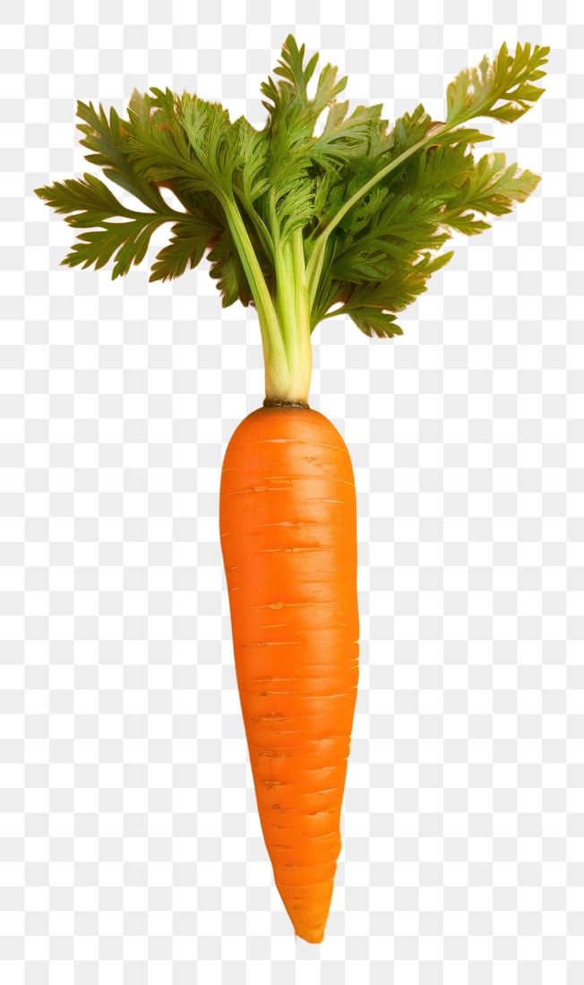 PNG carrot vegetable plant food. | Premium PNG - rawpixel