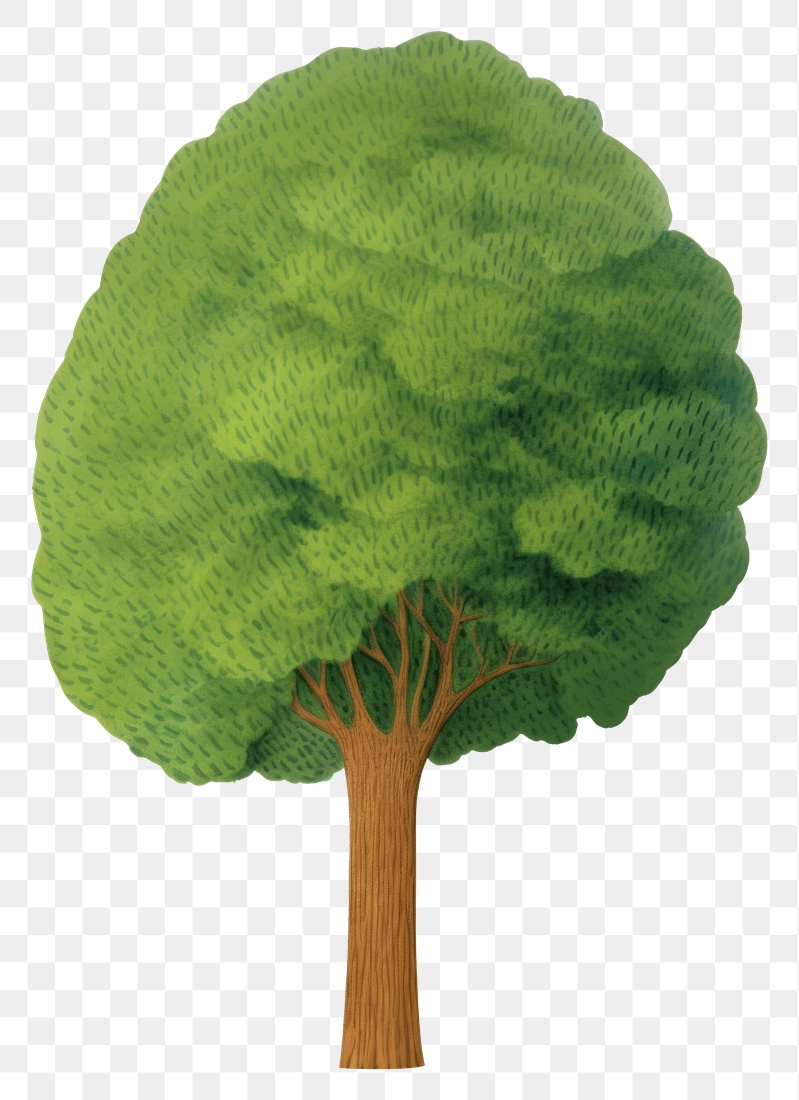 PNG Simple cartoon tree plant | Premium PNG - rawpixel
